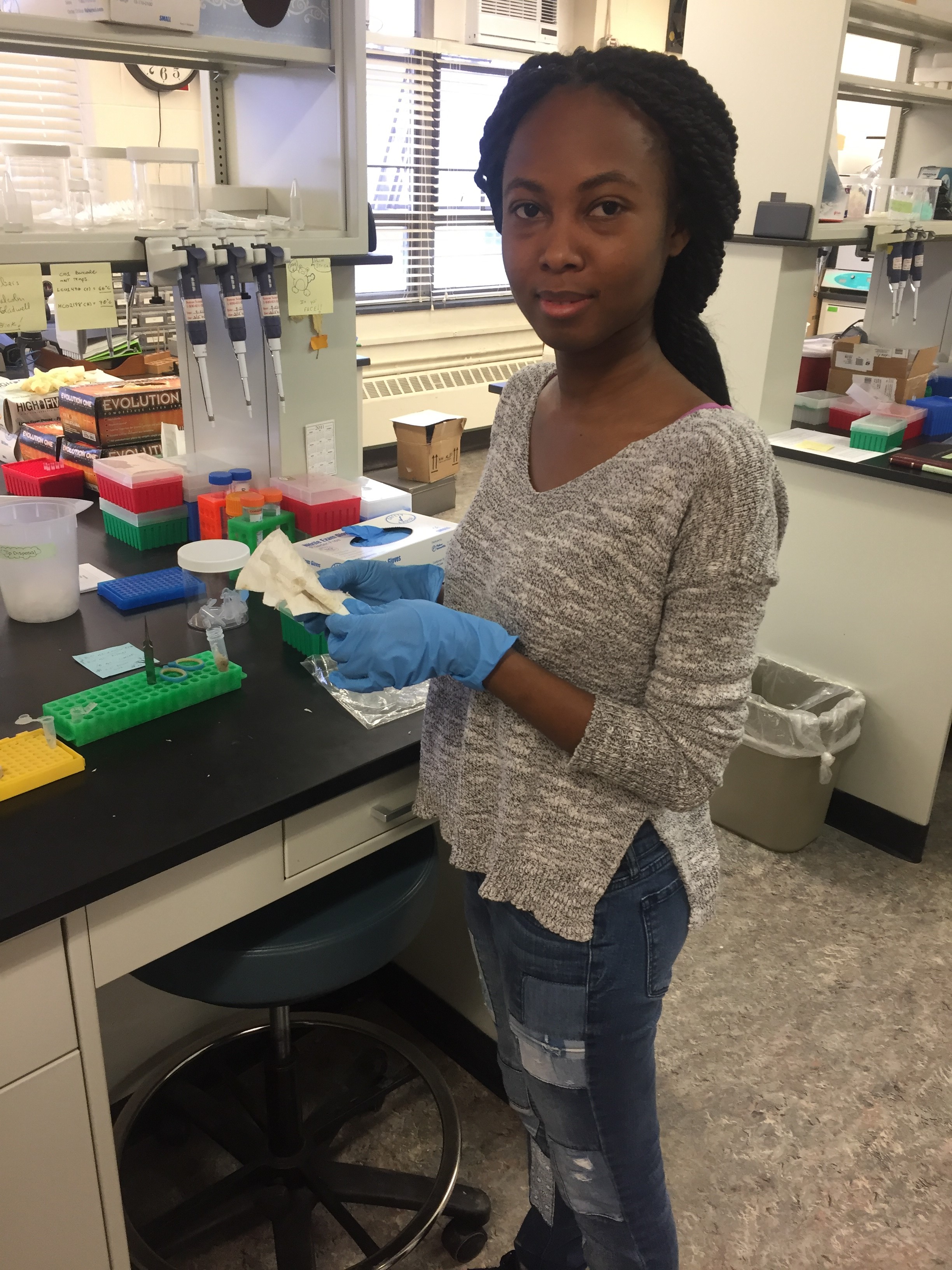 News | Fonseca Lab | Everyone needs Science, Science needs everyone – Terry McGlynn | Page 2